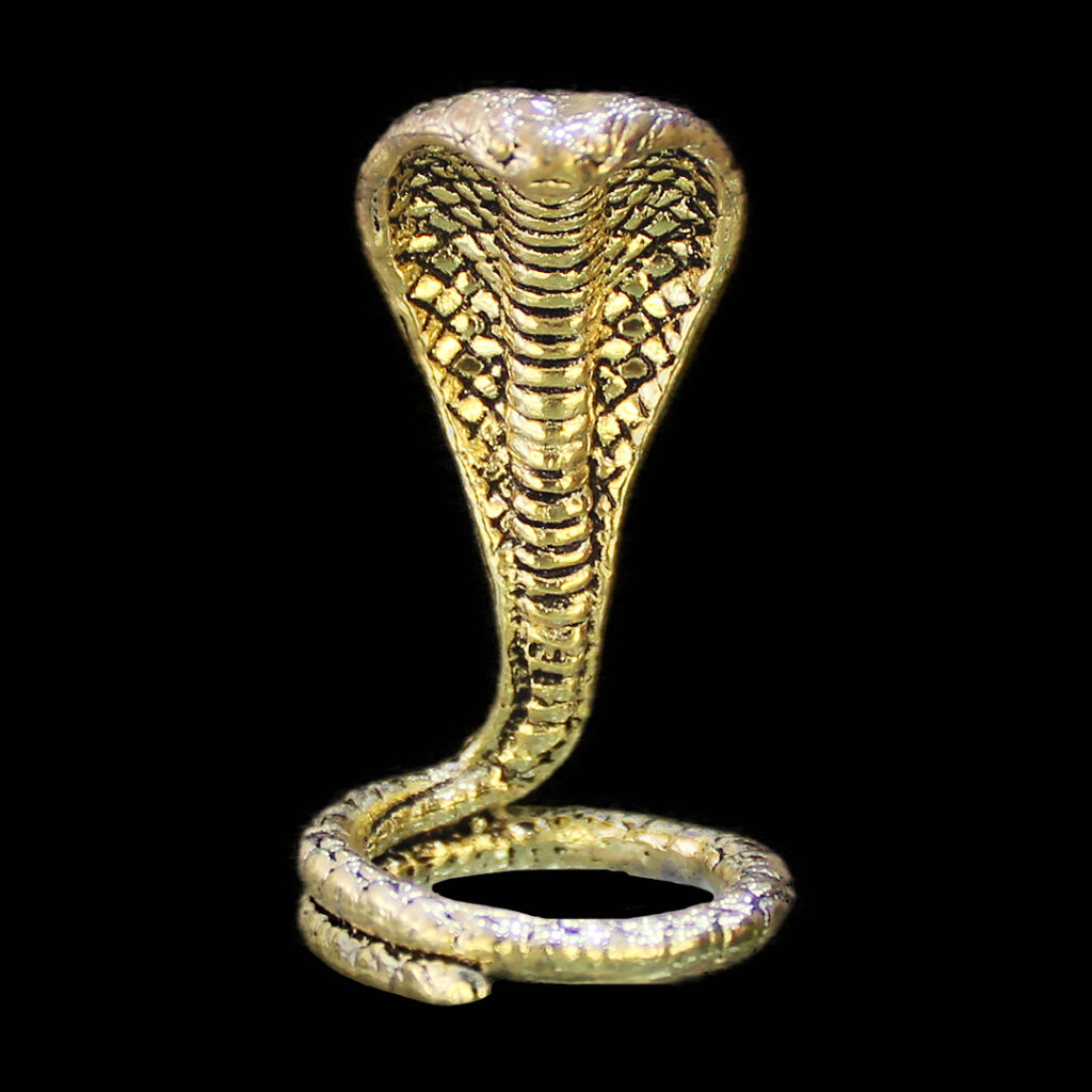 Lord Shiva Nagaraj Vasuki Serpent Naag Devta Sheshnag Snake for Room ...